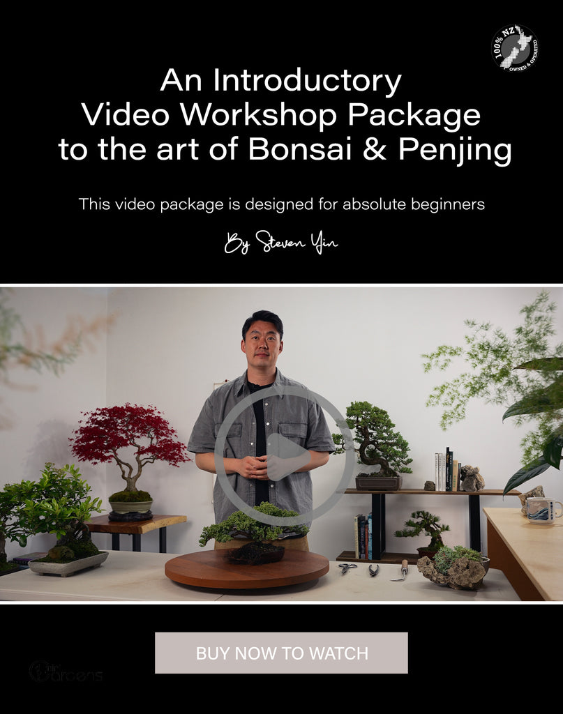 Video Introductory course to the Art of Bonsai + Juniper Demo ...