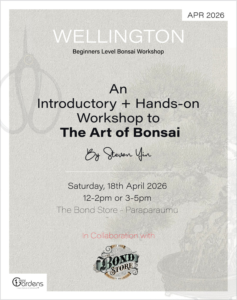 Beginner Bonsai NZ Workshop | Wellington Bonsai Workshop – MiniGardens ...