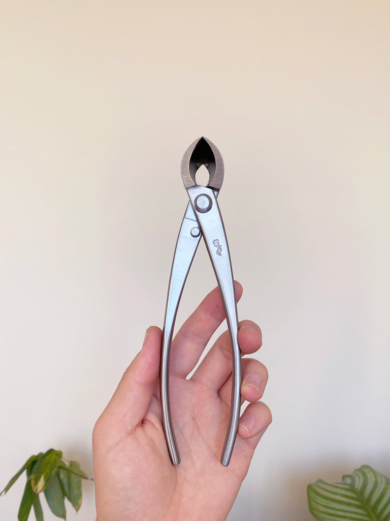 STAINLESS STEEL CONCAVE CUTTER - 205MM – MiniGardens Bonsai NZ