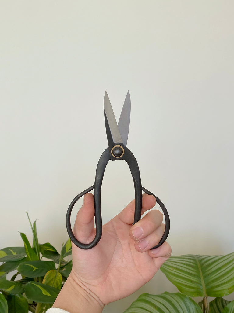 ALL PURPOSE PRUNING SHEARS - 200MM – MiniGardens Bonsai NZ