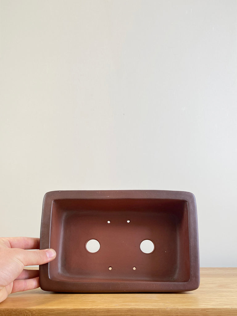 HULK – MiniGardens Bonsai NZ