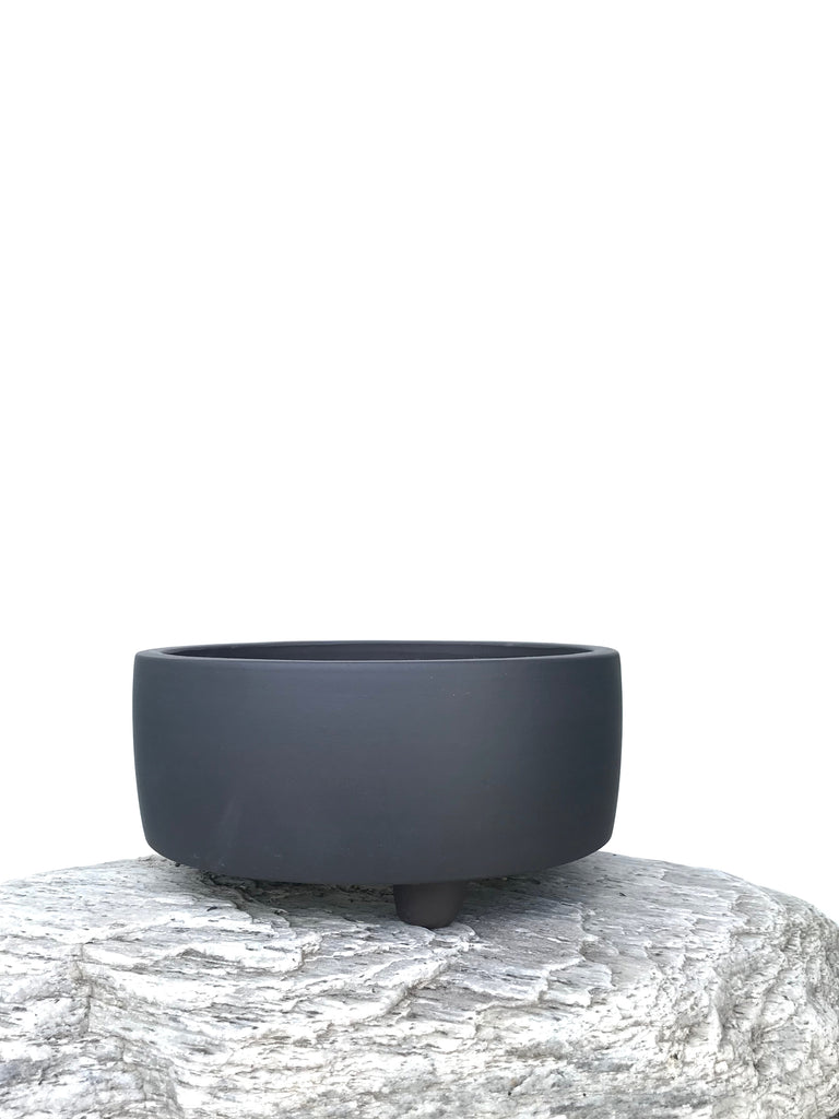 PANTHER – MiniGardens Bonsai NZ